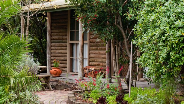 Uma cabana rústica de madeira com um deck e um jardim repleto de plantas diversas, incluindo um vaso grande.