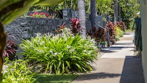 Um caminho ladeado por plantas tropicais e um muro de pedra.