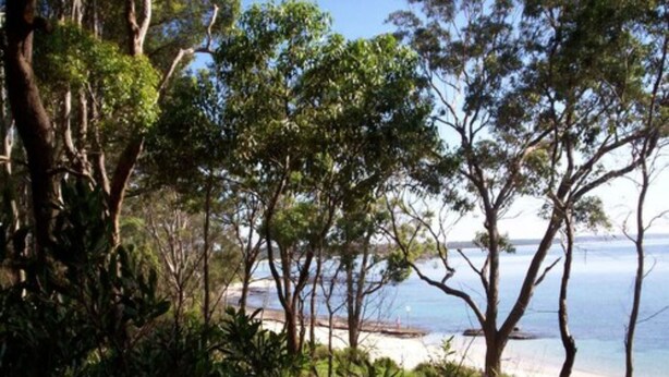 Paisagem costeira com árvores densas e uma praia arenosa.
