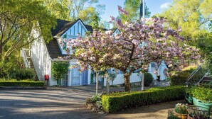 Uma rua residencial com uma casa de fachada branca e portadas verdes, cercada por vegetação exuberante e árvores floridas.