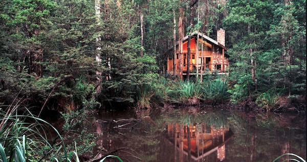 Woodlands Rainforest Retreat - Healesville