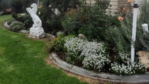 Uma casa residencial com um jardim bem cuidado, incluindo uma estátua, arbustos diversos e plantas floridas.