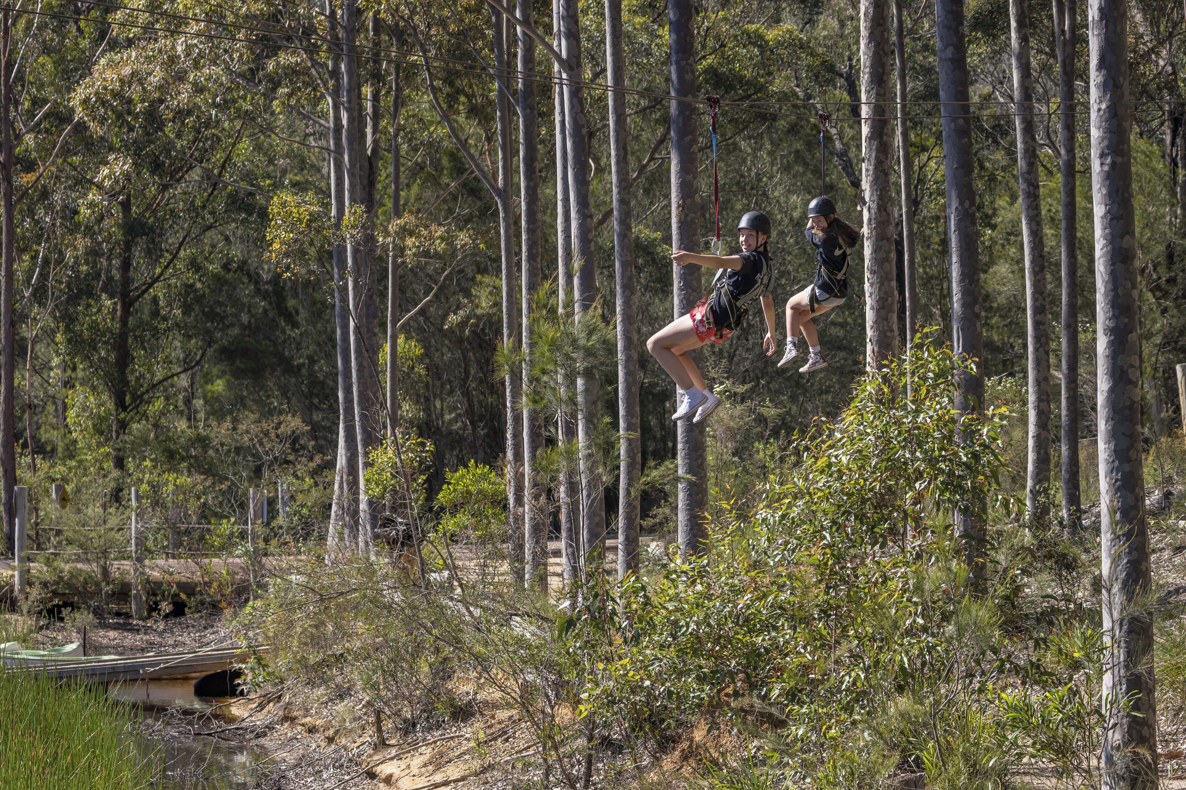 Uma área arborizada com tirolesa e uma pequena ponte.