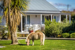 Área da propriedade