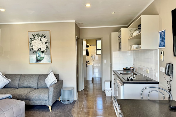 TV LED 43 polegadas com canais de TV premium, TV, DVD player