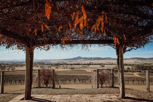 Área da propriedade