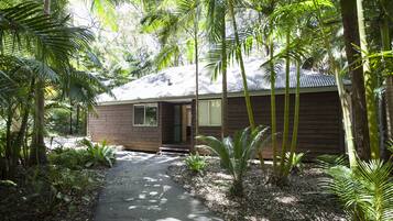 Uma cabana de madeira com um caminho pavimentado que leva à entrada, rodeada por vegetação tropical densa.