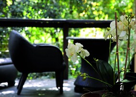 Suite de Luxo, 1 quarto, varanda (Rainforest Luxury Villa) | Varanda