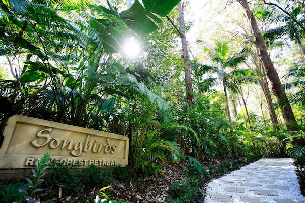 Songbirds Rainforest Retreat - Queensland