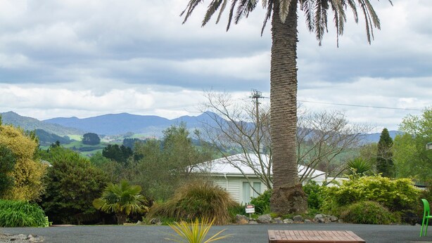 Vista de uma casa com uma grande palmeira e uma mesa e um banco de madeira em primeiro plano.