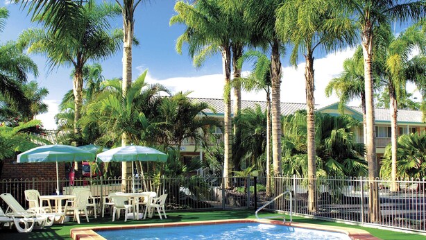 Piscina com espreguiçadeiras e guarda-sóis, cercada por palmeiras e uma área murada.