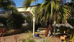 Uma área de jardim com diversas plantas, um banco e uma estrutura de madeira.