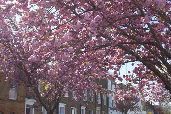 Kensington Olympia Apartments - London