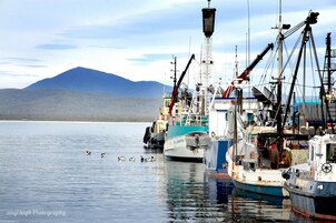 Vista da propriedade