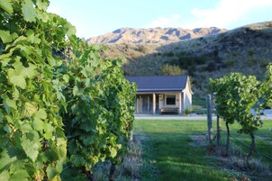 Estúdio standard, vista para o vinhedo | Vista para o vinhedo