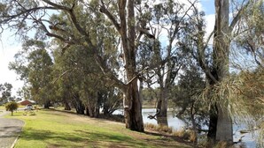 Um parque com árvores, um lago e uma trilha de terra.