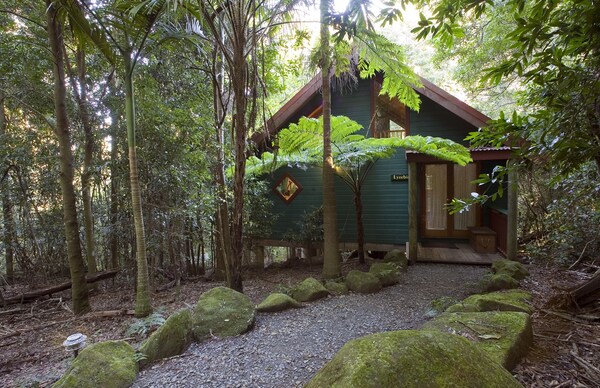 Springbrook Lyrebird Retreat - Springbrook