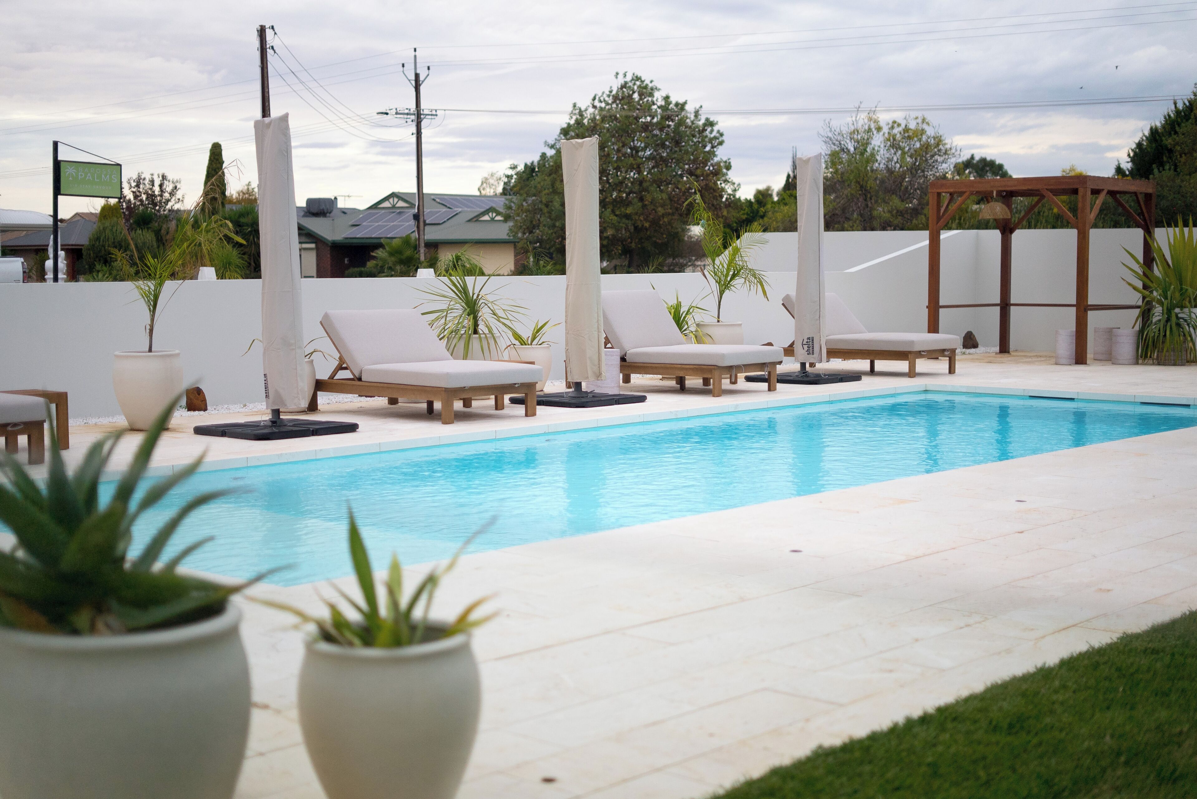 Uma piscina com espreguiçadeiras, plantas em vasos e um pérgola.