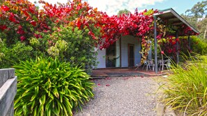 Uma casa com varanda coberta, rodeada por vegetação exuberante e folhagem vermelha vibrante.