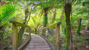 Uma ponte de madeira em uma floresta exuberante.