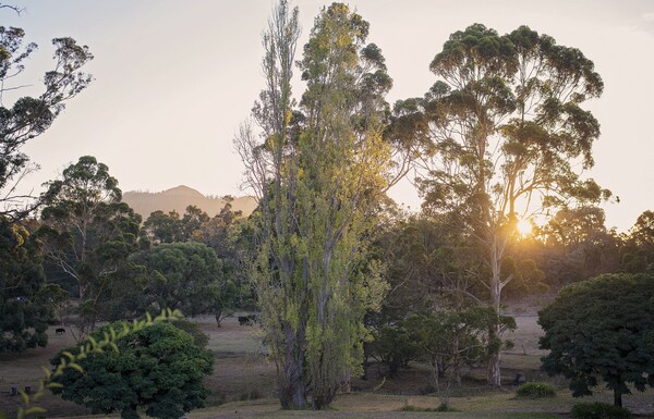 Karribank - Western Australia