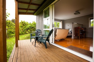 Estúdio Standard, não fumadores, cozinha (DoLittle Cottage) | Terraço/pátio interior