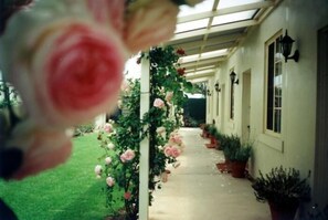 Suite Deluxe | Terraço/pátio interior