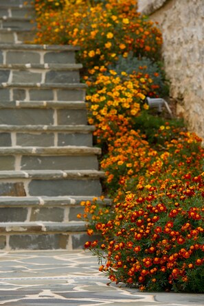 Terrenos do alojamento
