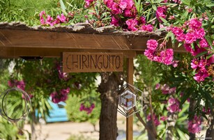 Pequenos-almoços, almoços, jantares servidos, cozinha mediterrânica 