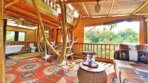 Casa na Árvore Comfort, 1 quarto | Casa de banho