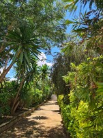 Quarto Duplo Standard, 1 cama de casal, casa de banho anexa | Roupa de alta qualidade, edredões de penas, minibar grátis 