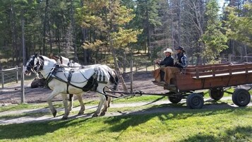 Uma carruagem puxada por dois cavalos, transportando dois passageiros, percorre um caminho de terra.
