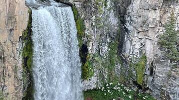 Uma cascata desce por um penhasco rochoso, cercada por vegetação.
