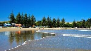 Uma praia com céu azul claro, areal arenoso e árvores altas.
