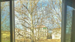 Vista pela janela de um parque, com uma árvore grande, um corpo d'água e edifícios ao fundo.