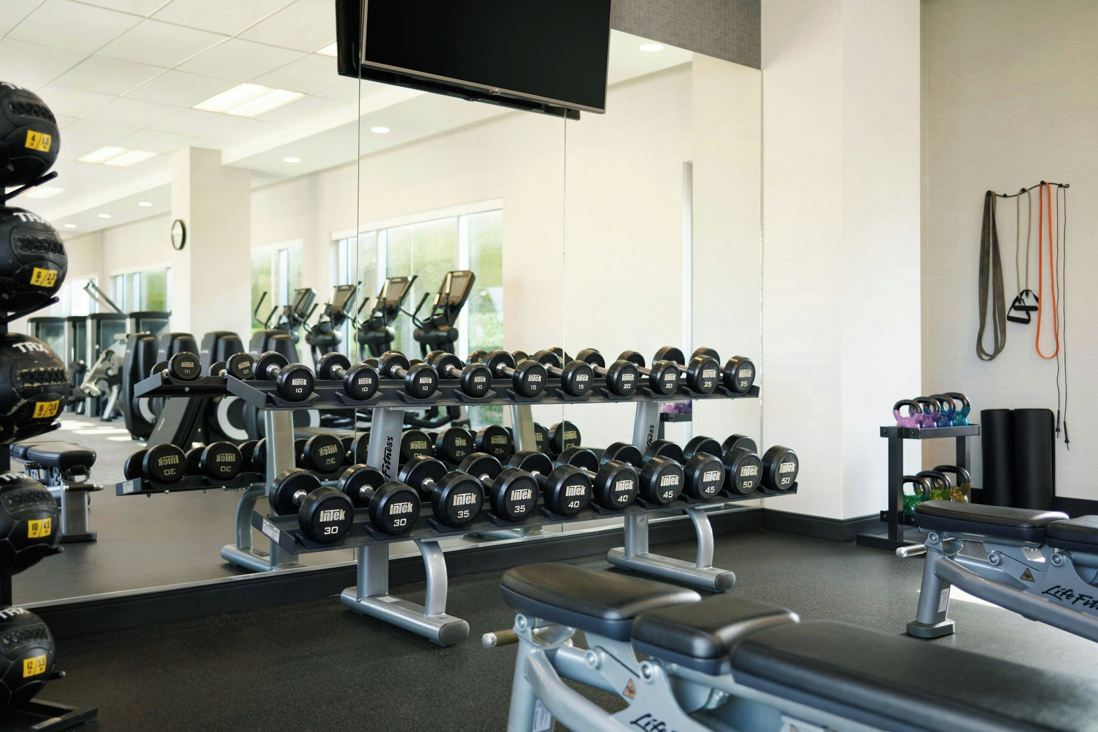 Uma academia com diversos equipamentos de musculação, incluindo halteres e bancos.