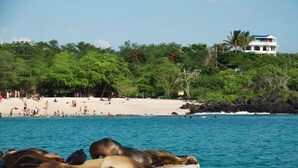 Uma praia com pessoas e um barco com lobos-marinhos.