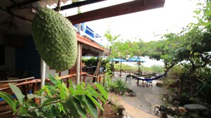 Uma fruta pendurada, uma área de pátio com mesas e cadeiras, e um caminho de jardim.