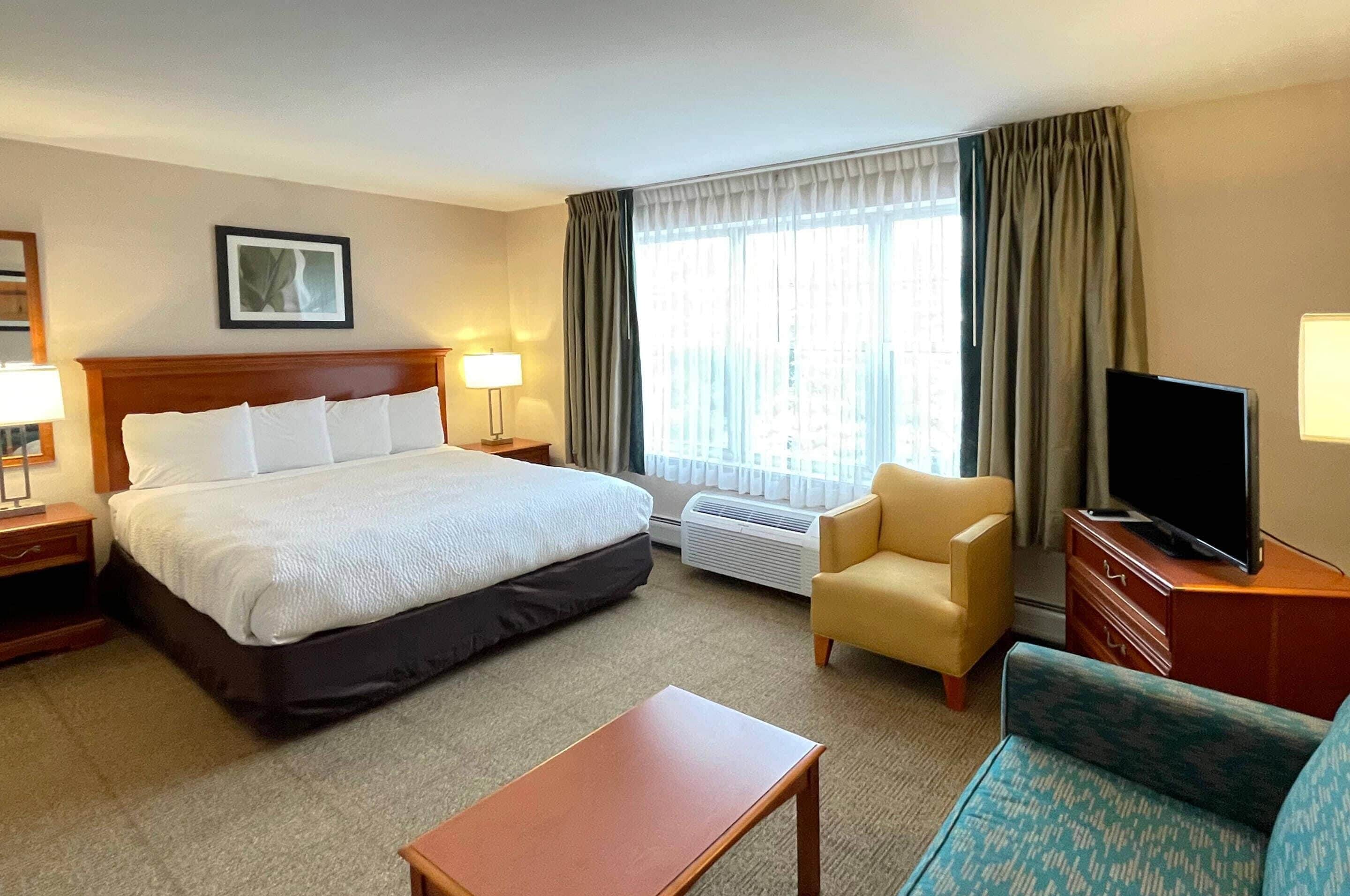 Suíte, 1 cama King e sofá-cama, para não fumantes (Studio) | Individualmente mobiliados, escrivaninha