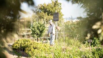 Pequenos-almoços, almoços, jantares servidos, com vista para o oceano