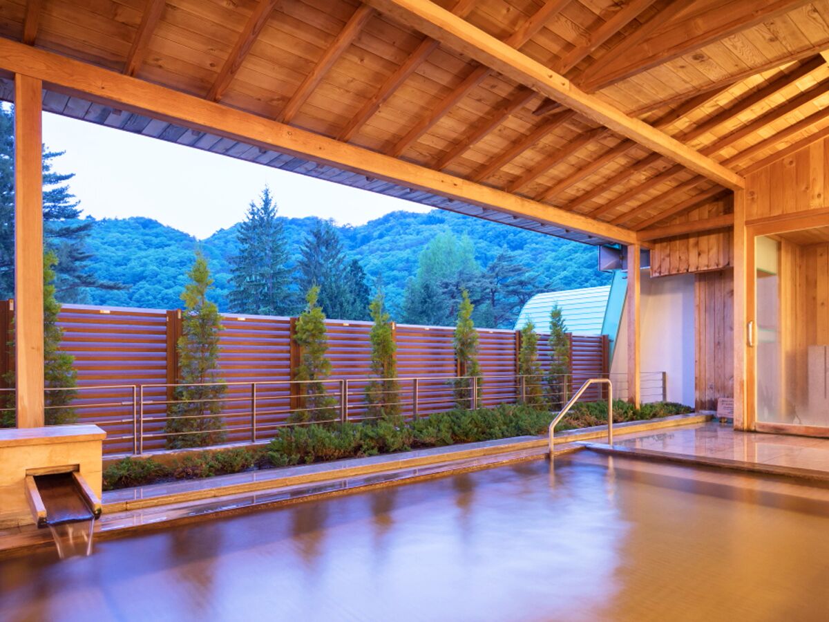 Piscina interior moderna com teto de madeira e vista para uma encosta arborizada.