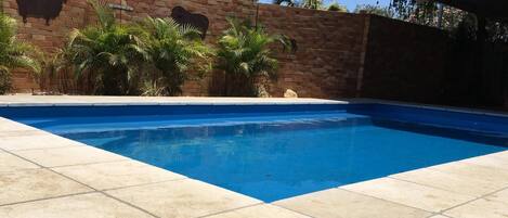 Piscina com muro de tijolos e palmeiras.