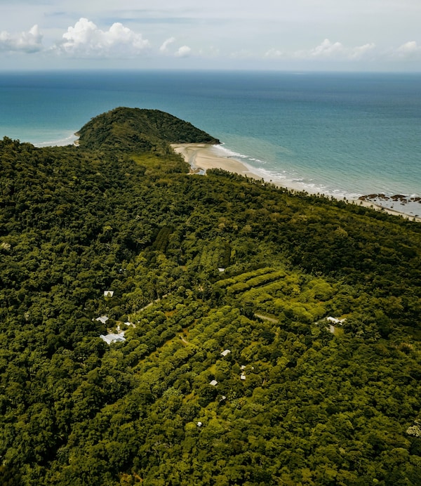 Cape Trib Farmstay - Queensland