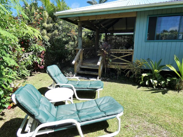 Aroa Kainga Bungalows - Rarotonga