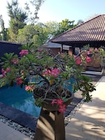 Terraço/pátio interior