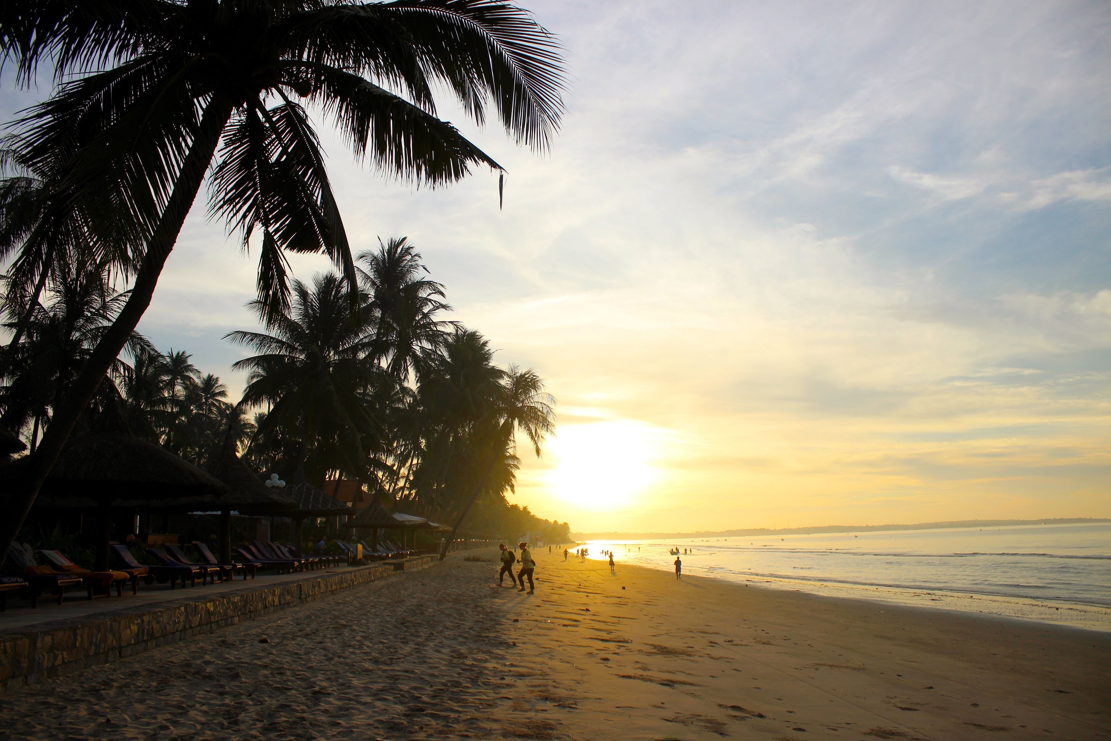 Uma praia com palmeiras, espreguiçadeiras e um pôr do sol.