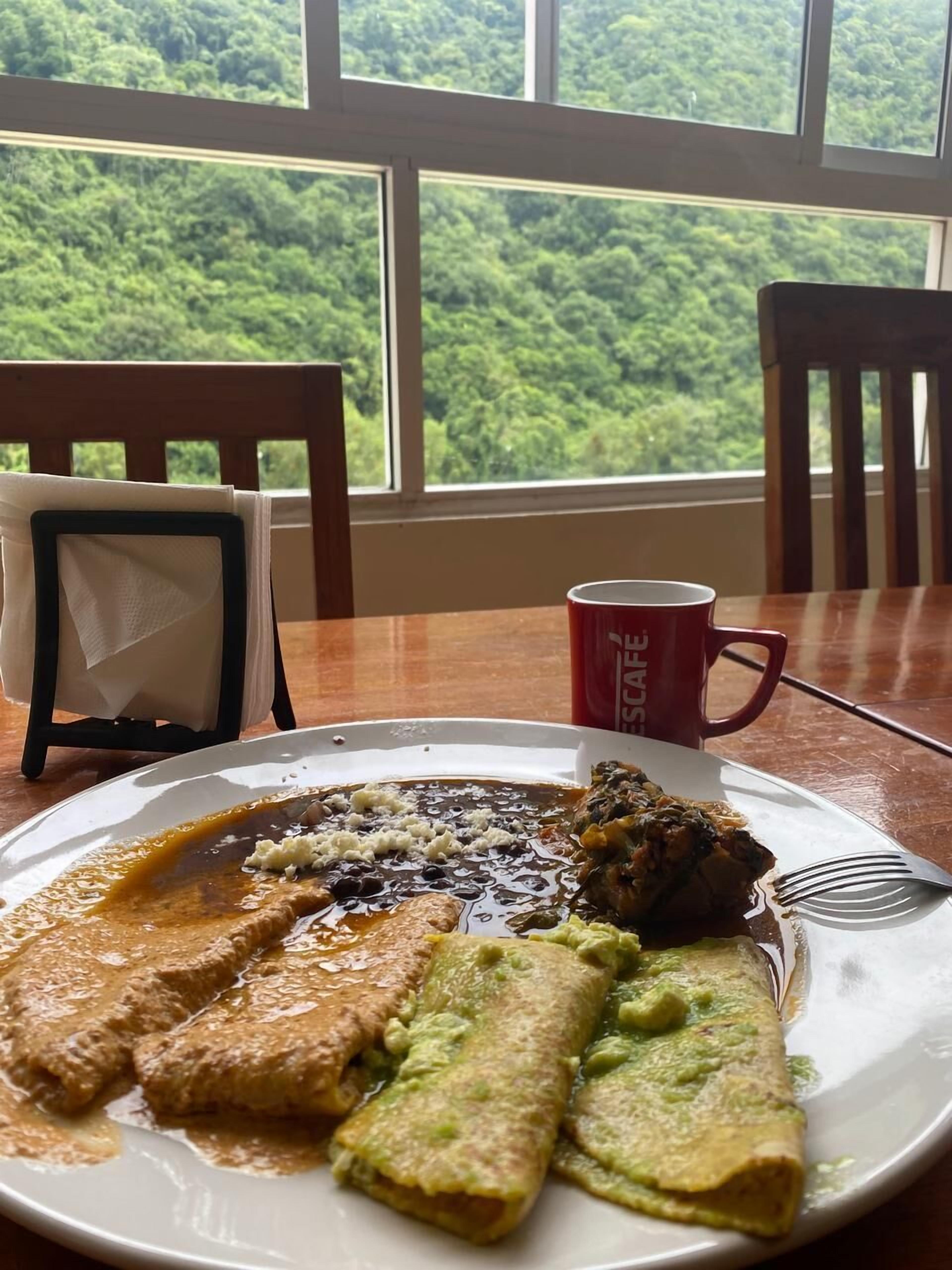 Prato de comida com uma caneca vermelha sobre uma mesa perto de uma janela com vista para uma floresta.