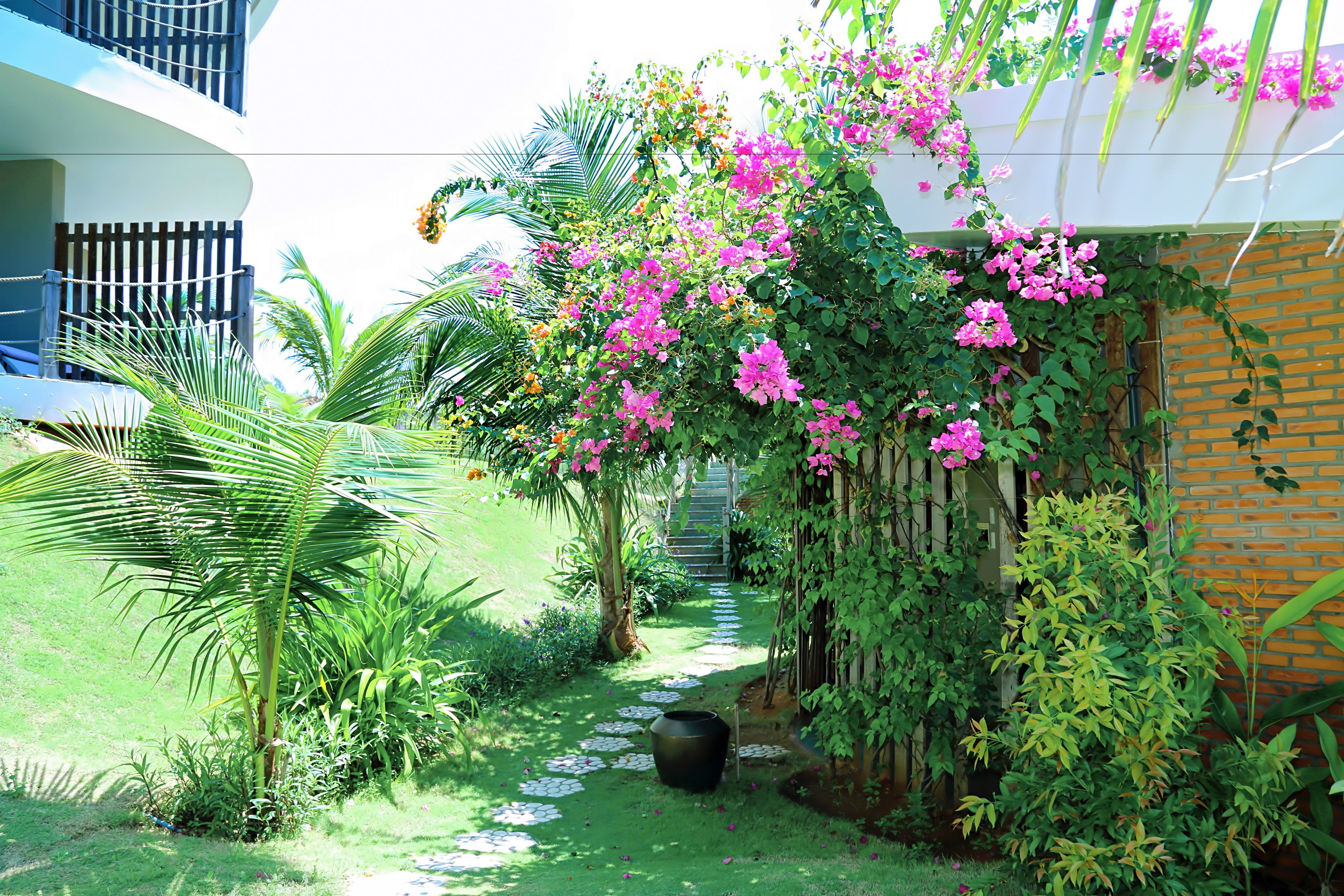 Um jardim exuberante com um caminho, palmeiras e trepadeiras floridas.