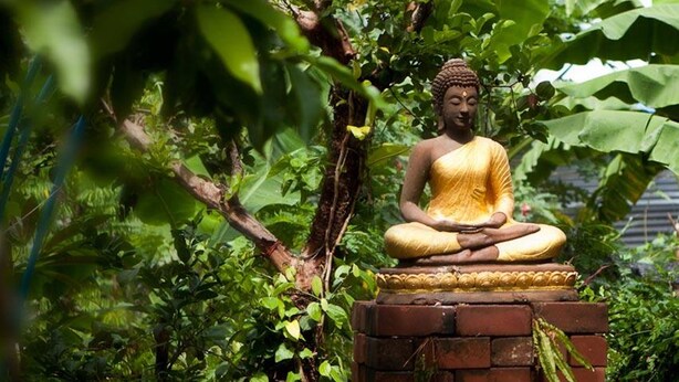 Estátua de uma figura sentada em posição meditativa, rodeada por vegetação exuberante.