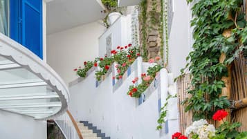 Pormenores do exterior